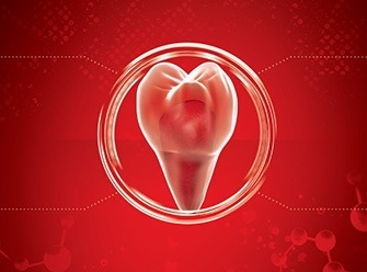 Discover the multiple indications of Biodentine | Septodont